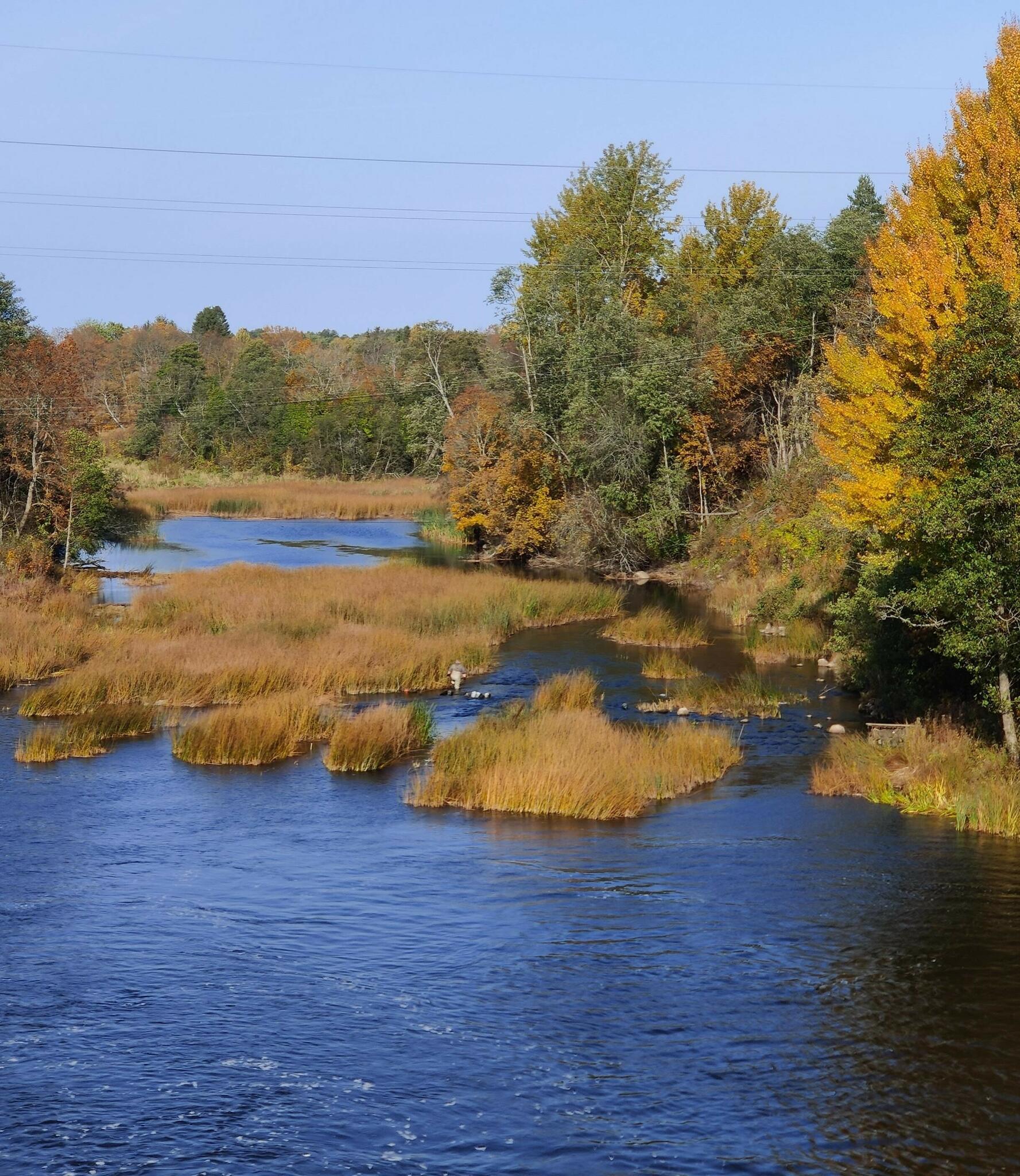 Esileht – Silmud